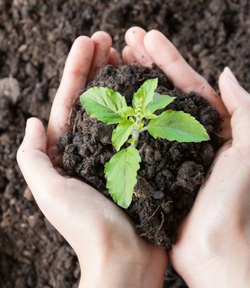 Blog: Benefits of Sustainable Pulp & Paper Manufacturing